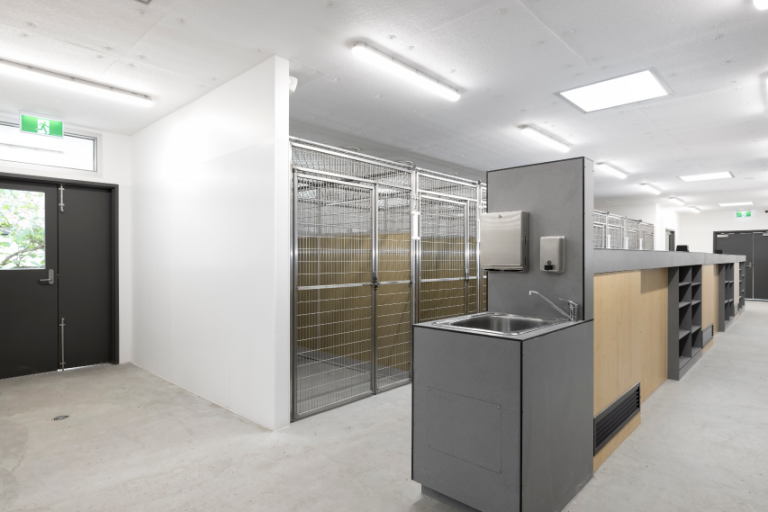 Save-A-Dog Scheme Animal Shelter Master Plan & Redevelopment ...