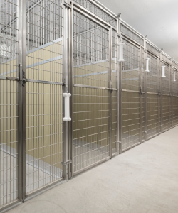 Save-A-Dog Scheme Animal Shelter Master Plan & Redevelopment ...