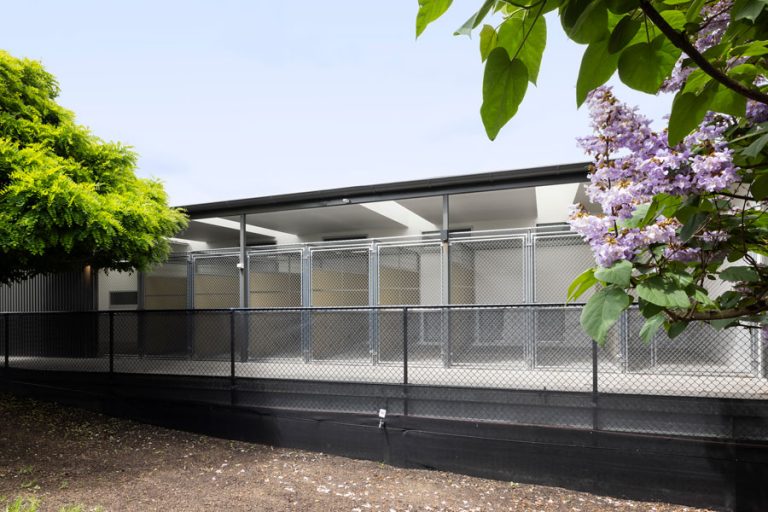 Save-A-Dog Scheme Animal Shelter Master Plan & Redevelopment ...